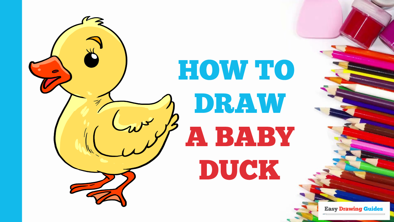 how to draw baby duck