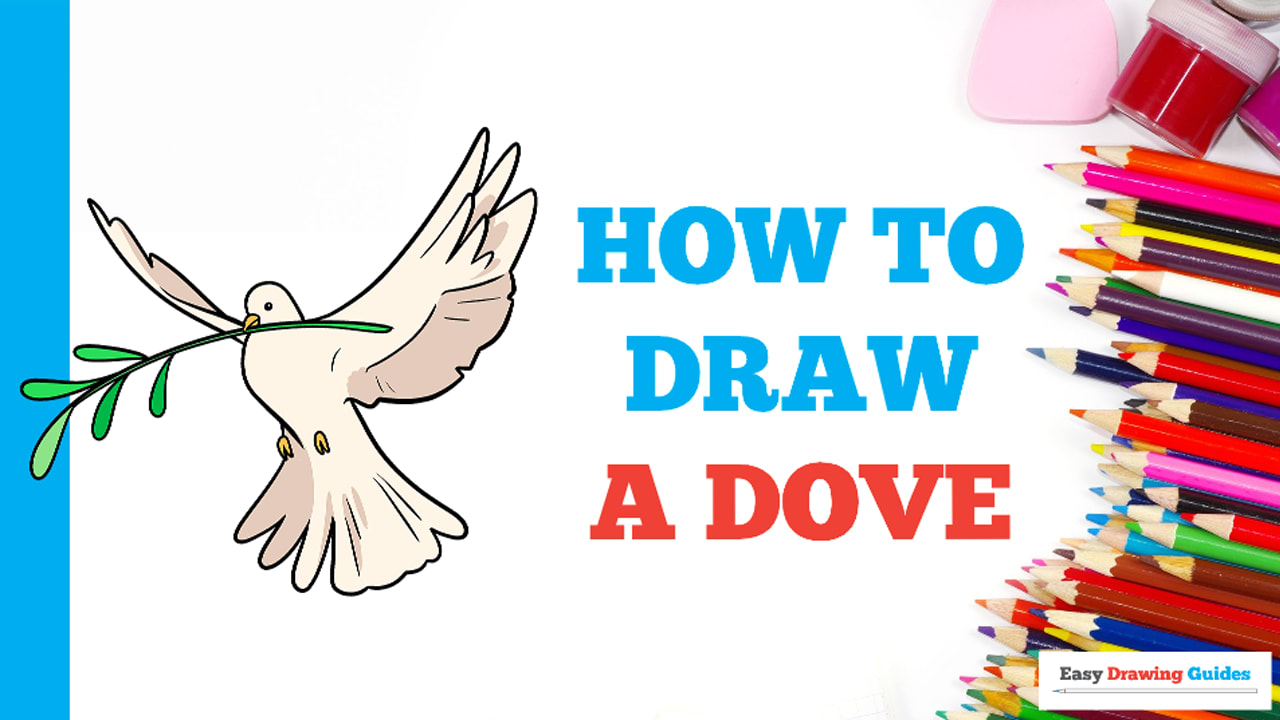 how to draw peace birds